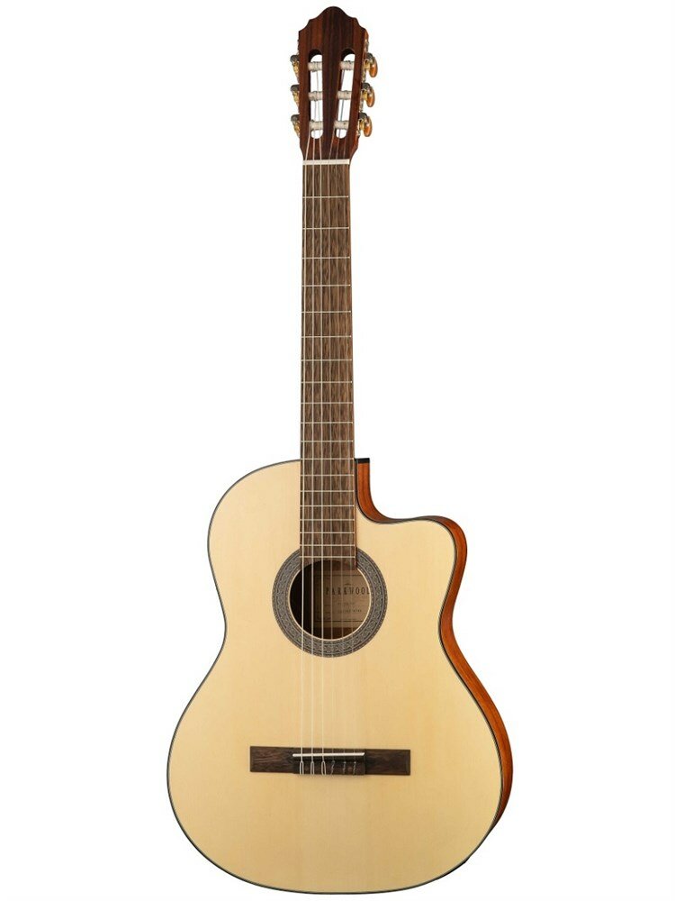 Классическая гитара Parkwood PC110-WBAG-OP