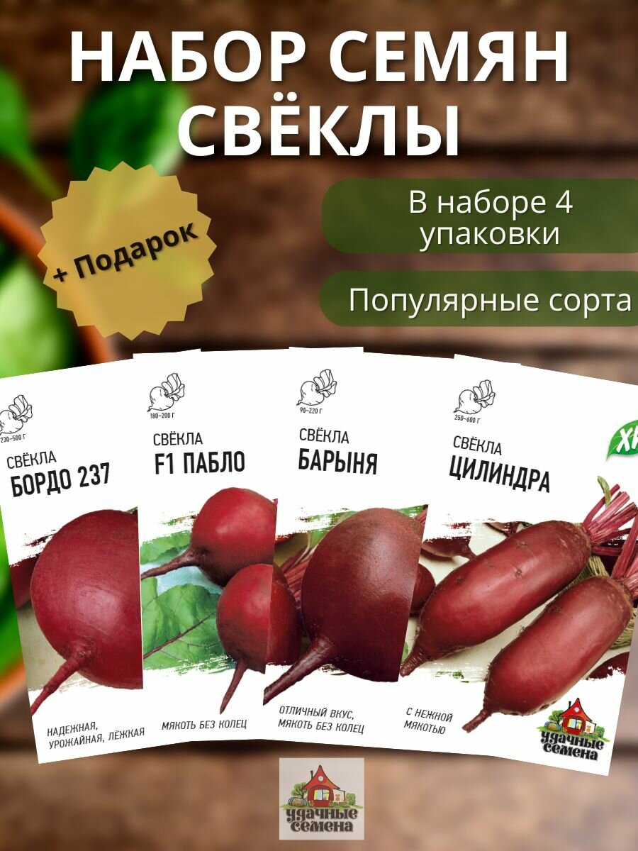 Семена свеклы для посадки сладкая сахарная красная Цилиндра Пабло Барыня Бордо