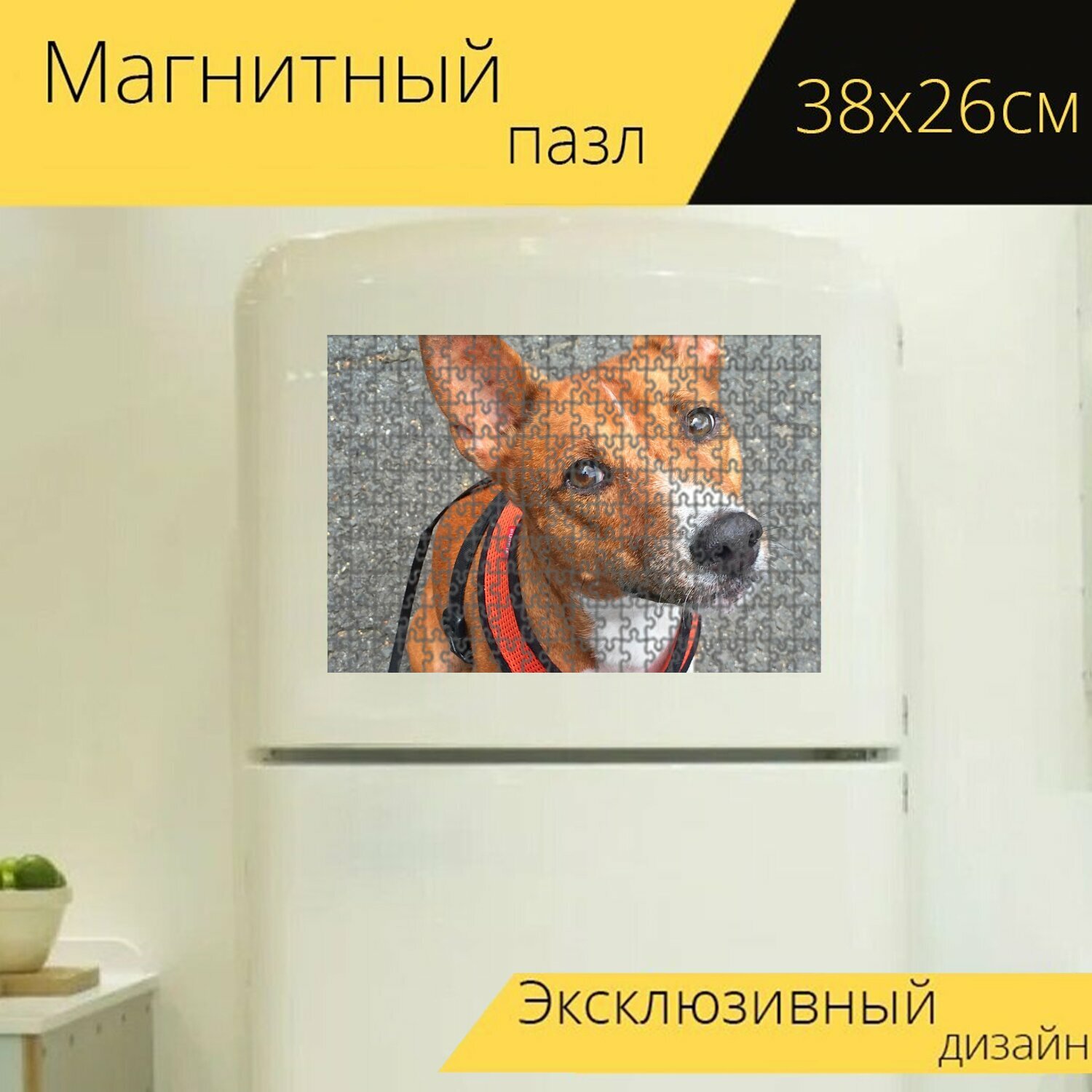 Магнитный пазл "Собака, басенджи, животное" для интерьера, 38х26 см.