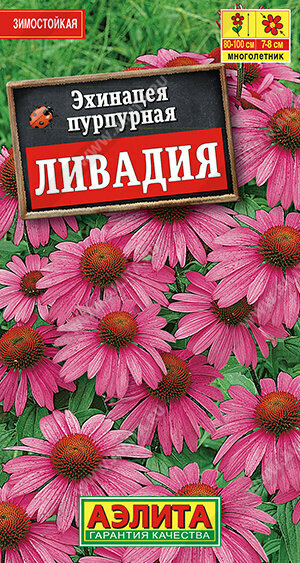 Семена эхинацеи аэлита "Ливадия", зимостойкий многолетник, высота 80-100см
