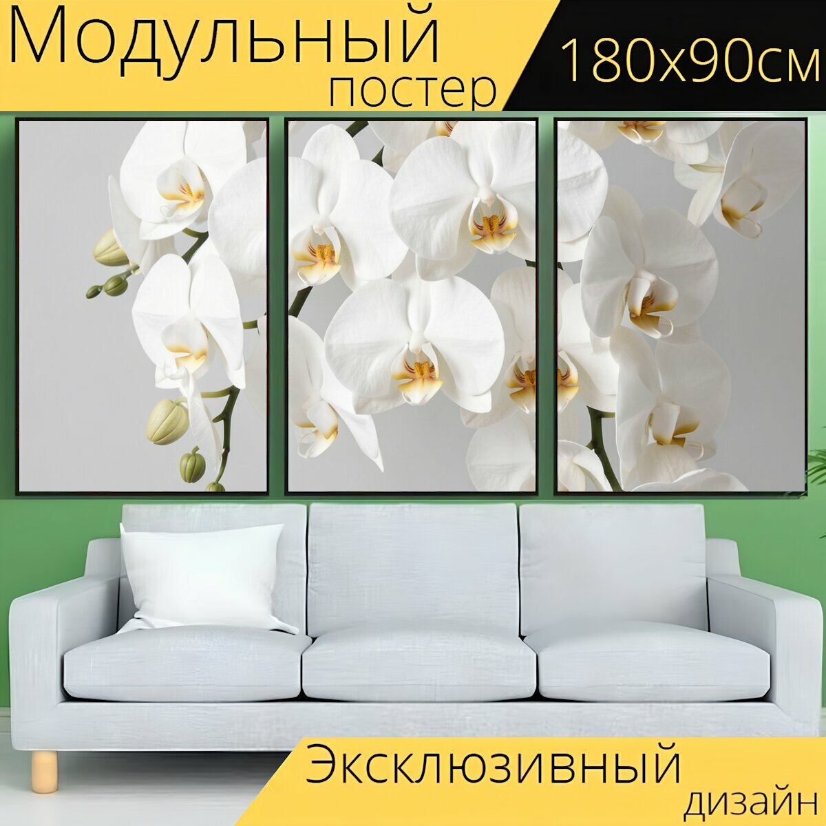 Модульный постер "Белые орхидеи на светлом фоне. Изящные цветы фаленопсиса с крупными лепестками и нежными бутонами, выполненные в." 180 x 90 см. для интерьера на стену в тубусе