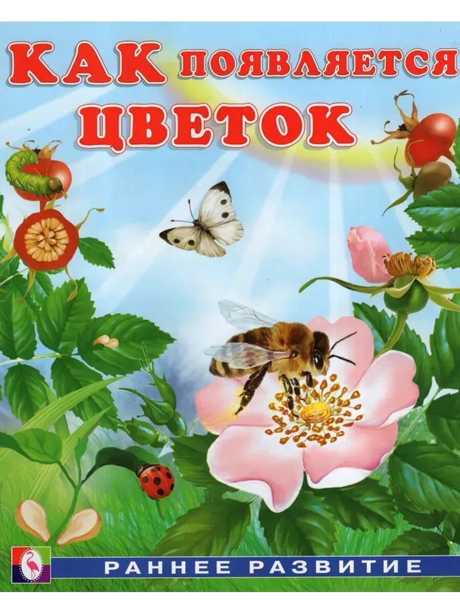 Как появляется цветок. Гурина И. В.