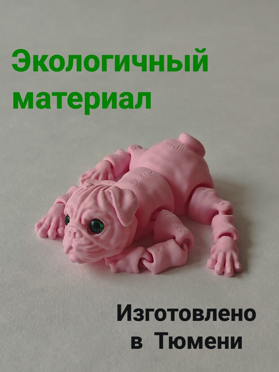 Мопс подвижный — фото 1