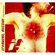 Forward Russia! Life Processes (CD/Компакт-диск)