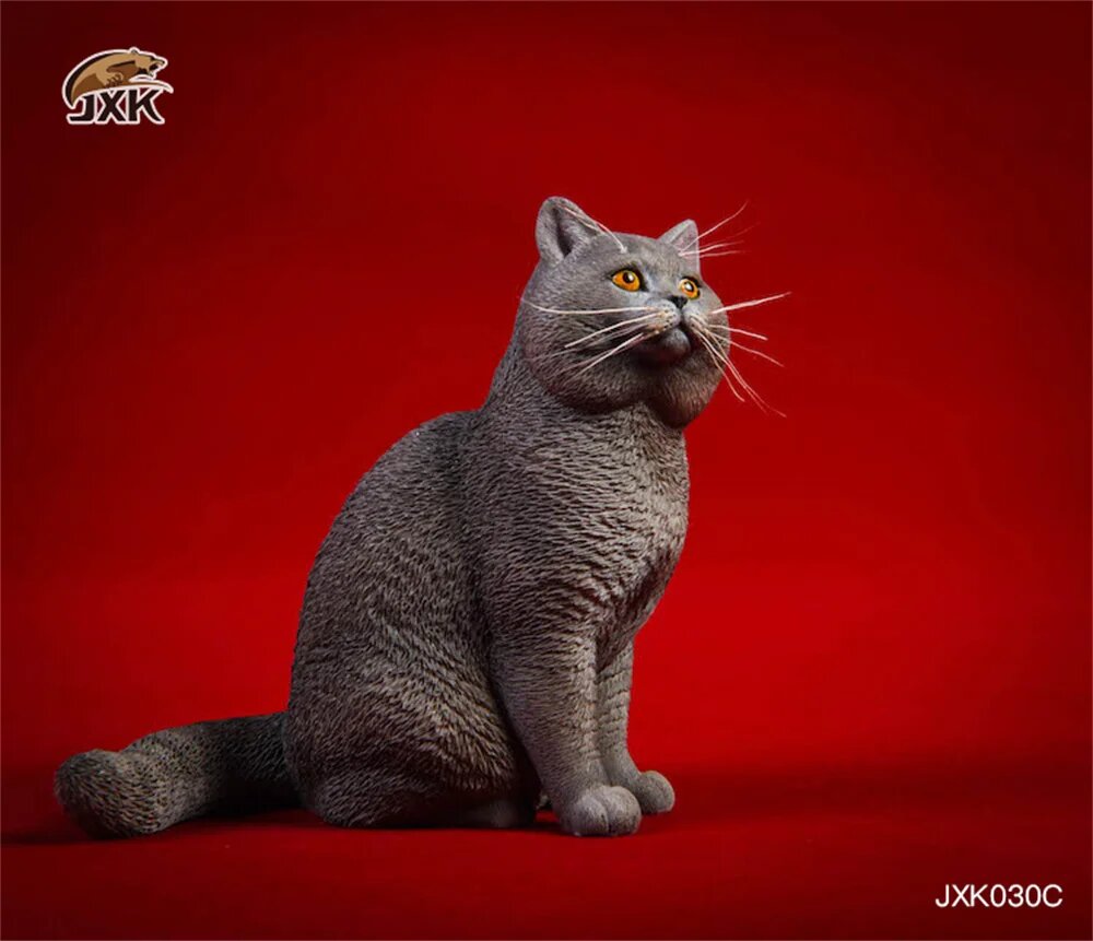 Модель кота Taholicy 1/6 A — фото 1