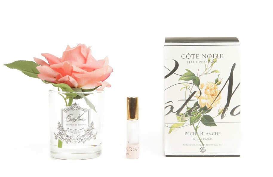 Ароматизированная роза Cote Noire FRENCH ROSE white peach