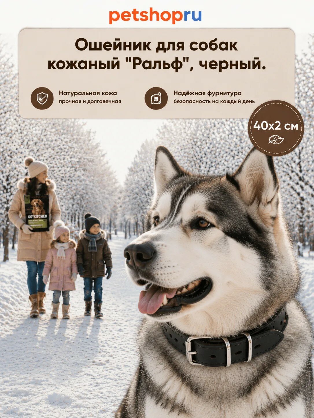 PETSHOP Ошейник для собак кожанный "Ральф", черный, 40х2 см
