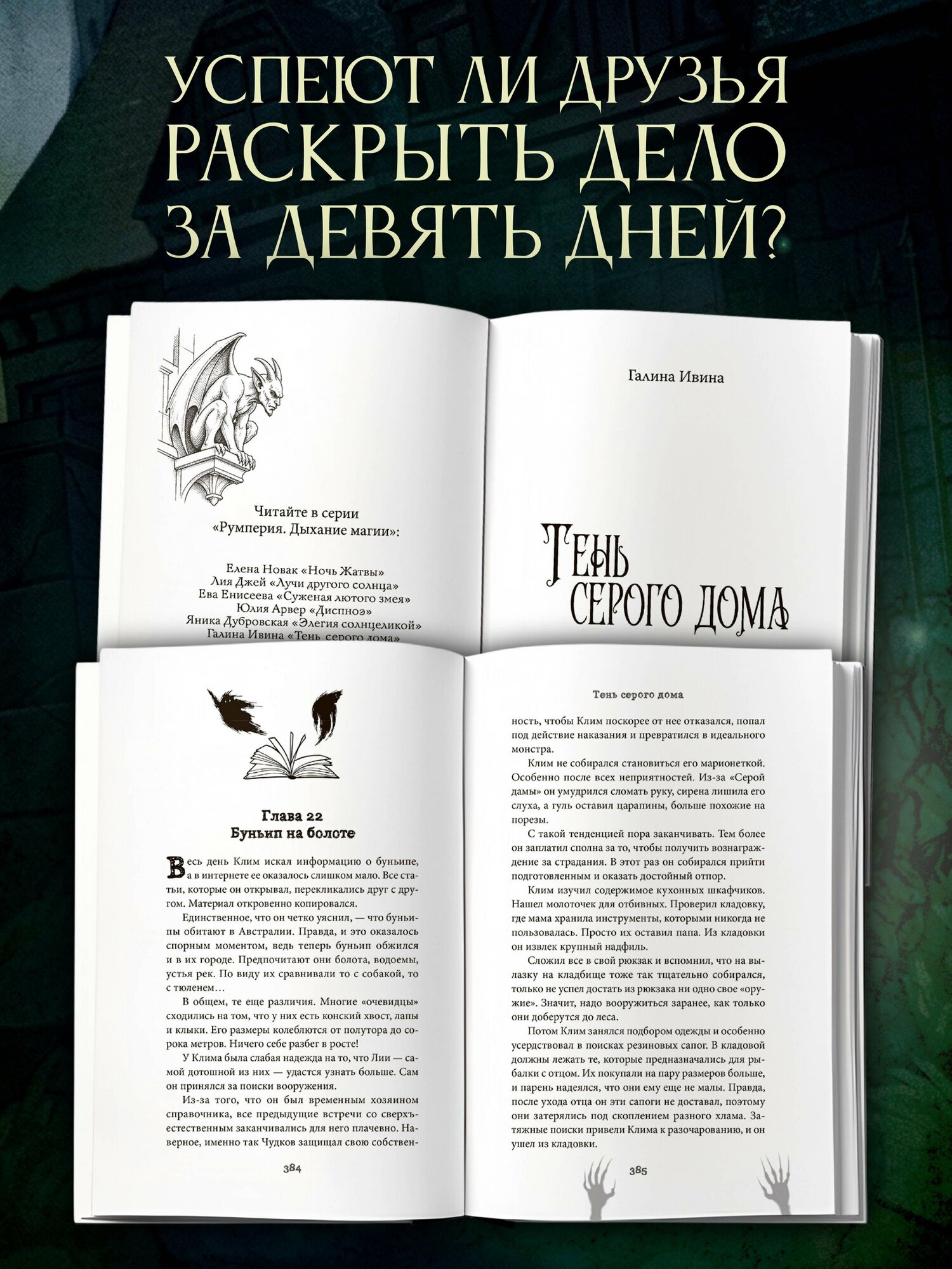 Тень серого дома — фото 1