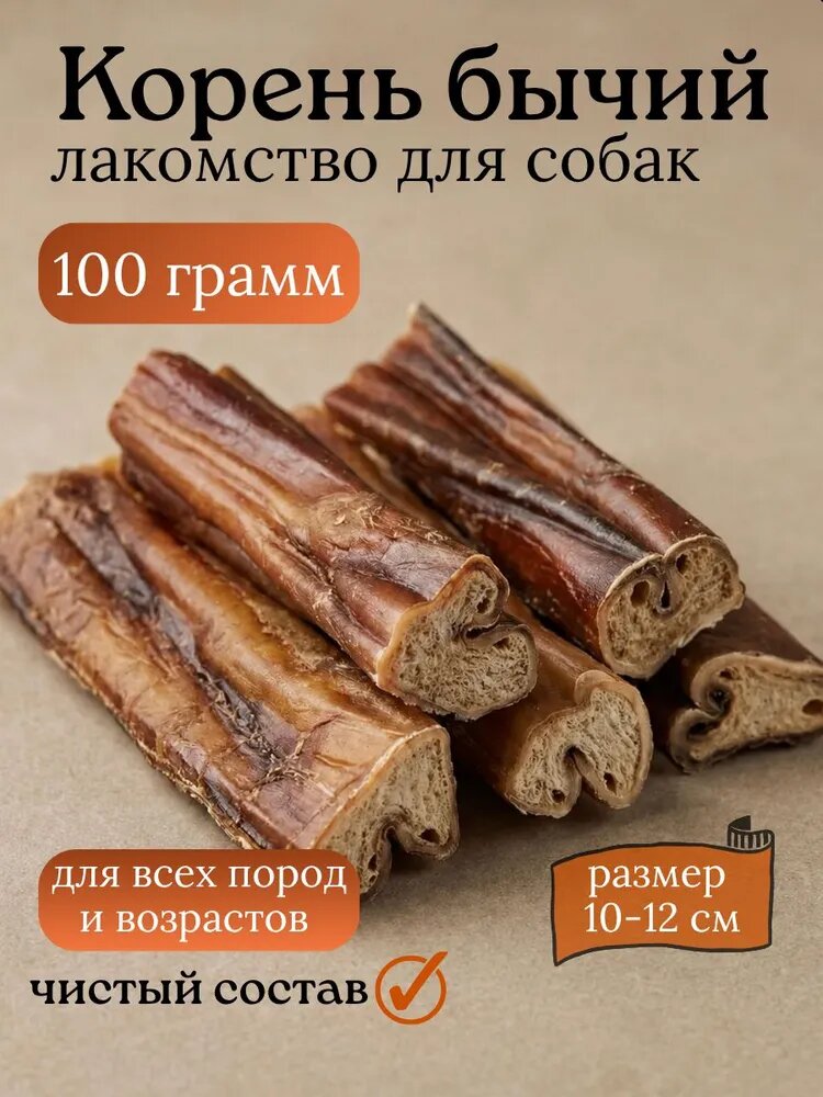 Бычий корень для собак 100 г натуральное лакомство для всех пород 10 см
