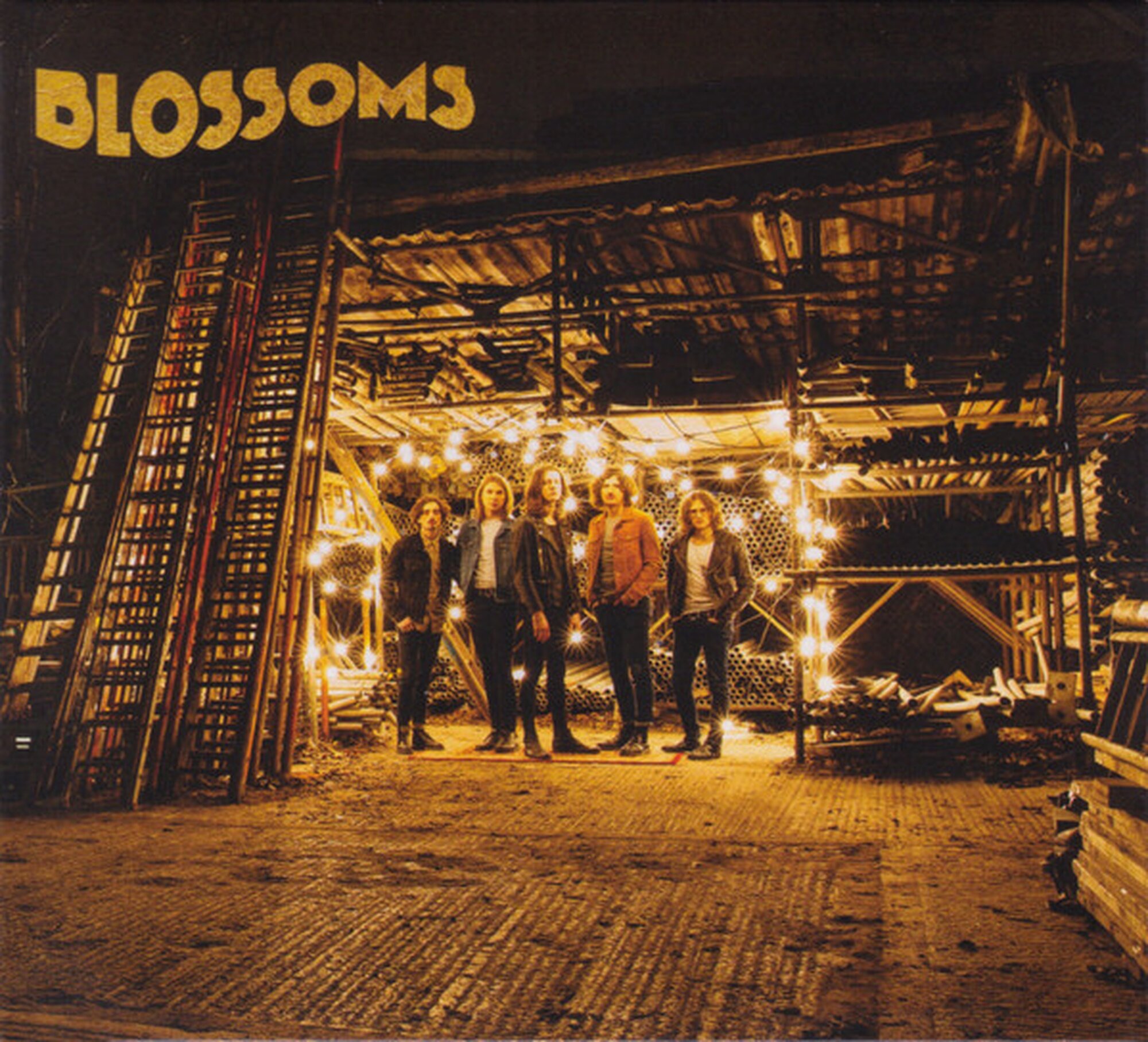 Компакт-диск The Blossoms "BLOSSOMS", 2016, 12 треков, CD, импортный