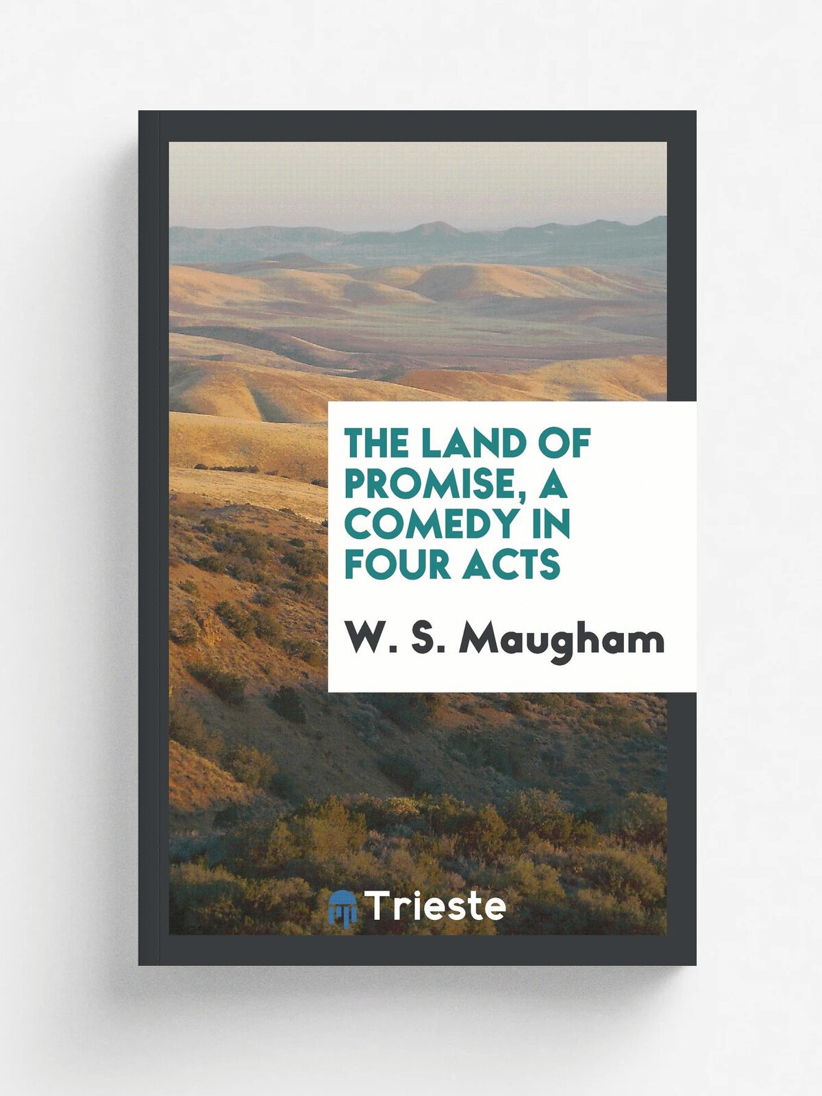 The land of promise, a comedy in four acts