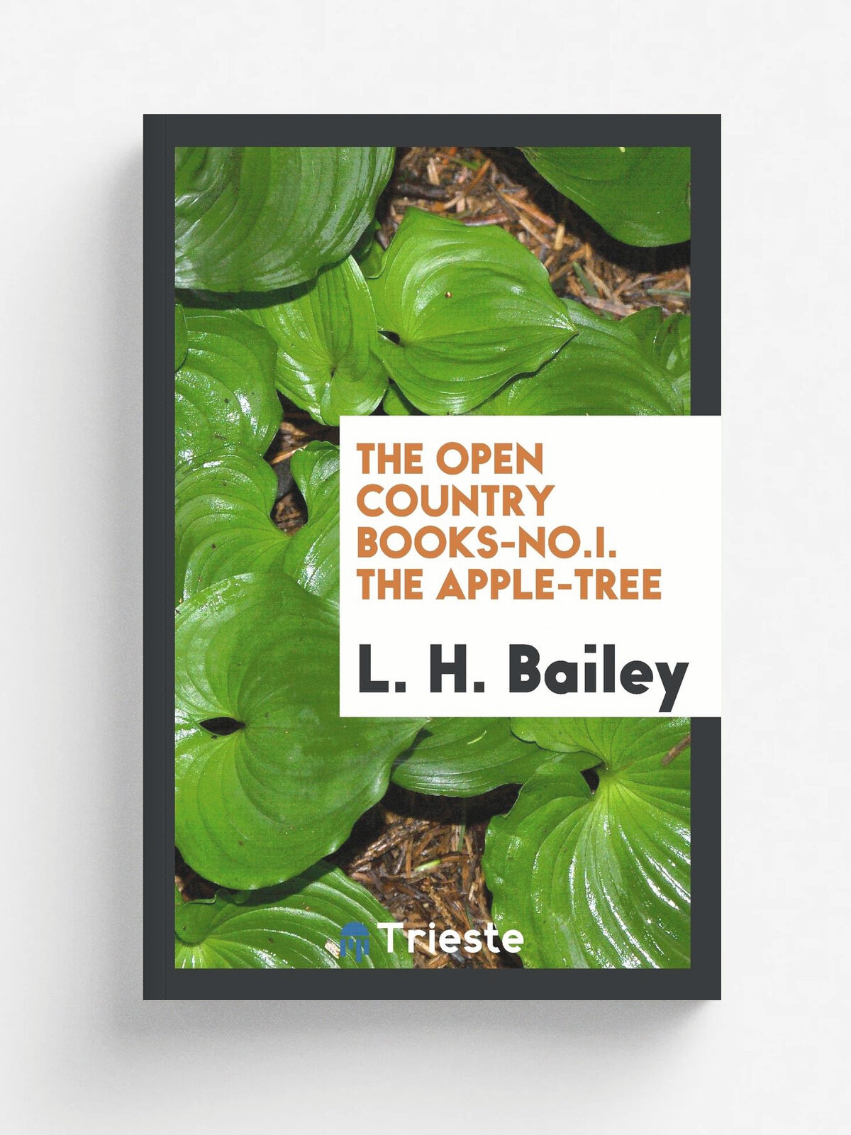 The Open Country Books-No. I. The Apple-Tree