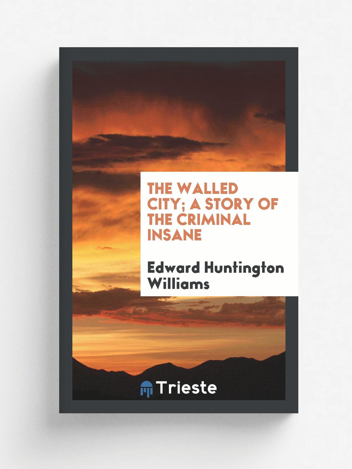 The walled city; a story of the criminal insane
