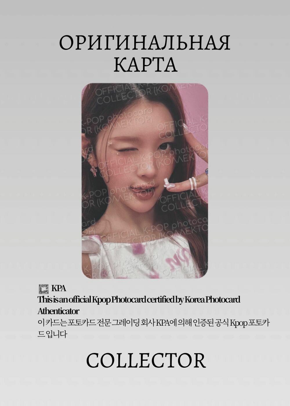 Официальная K-pop карта Эйна из H2H FOCUS (Альбомка)