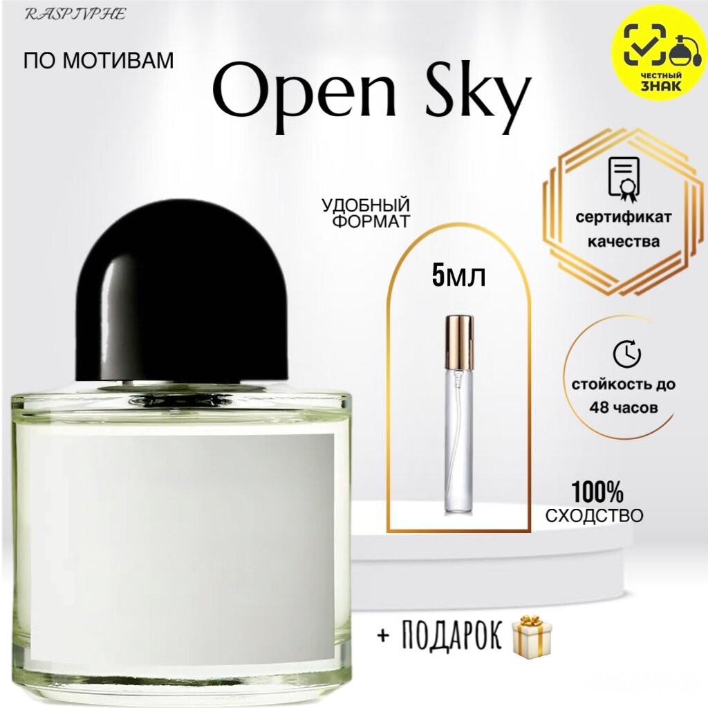 Парфюмерная вода по мотивам Open Sky, Опен Скай, унисекс, 5мл