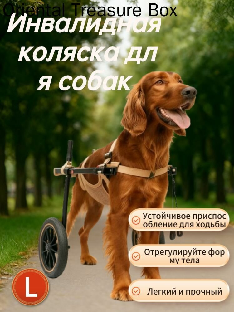 Инвалидная коляска для собак