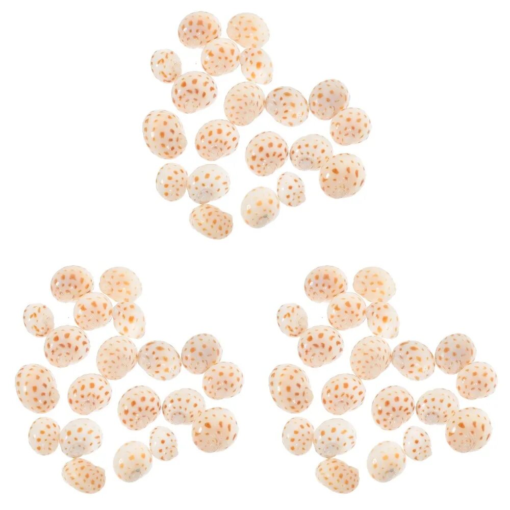 Раковины конх натуральные, 60 шт, для декора рыбного аквариума и панцирей раковинных крабов