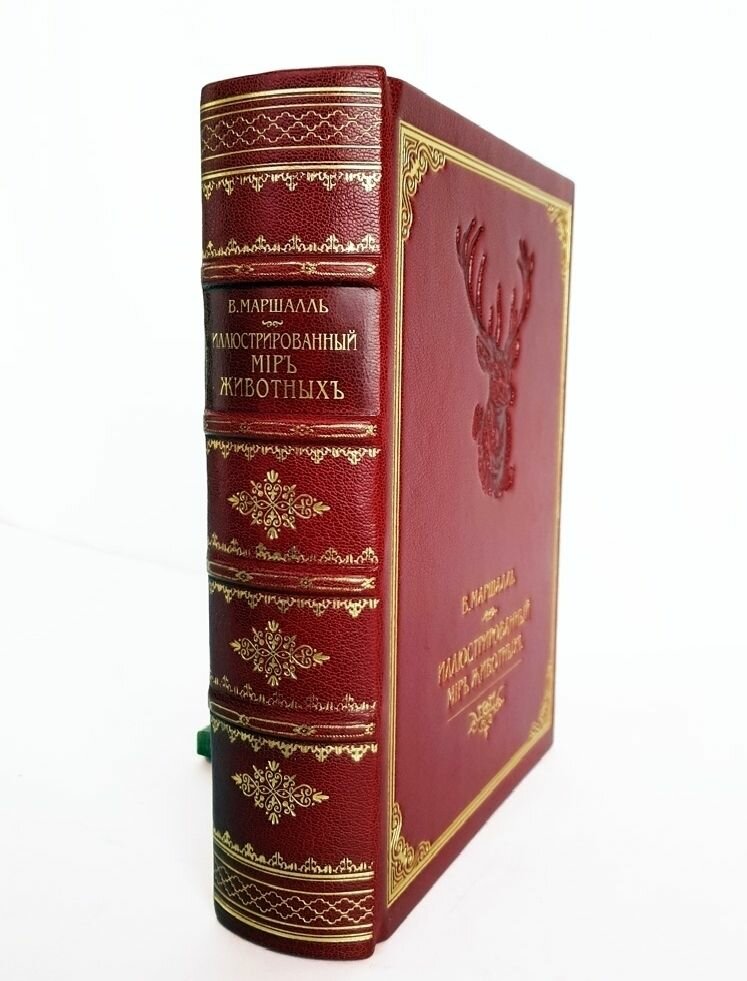 "Иллюстрированный Мир Животных". Проф. В. Маршалль. 1914 г.