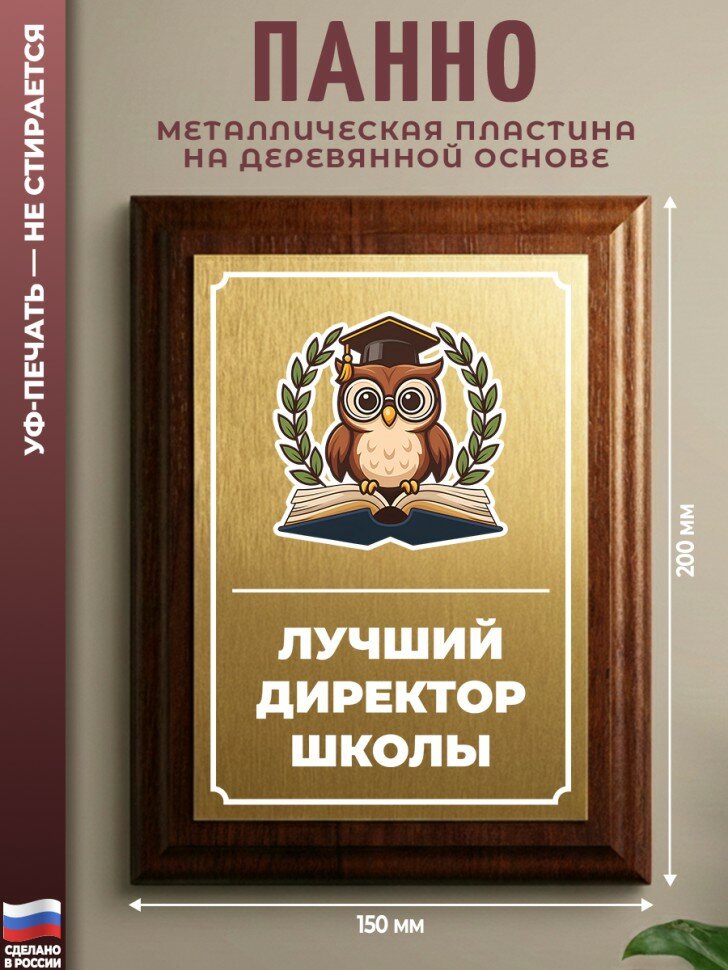 Настенный диплом "Лучший директор школы"