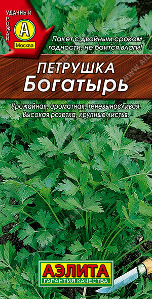 Семена аэлита "Петрушка листовая "Богатырь", для салатов и трав, однолетние, 2 г