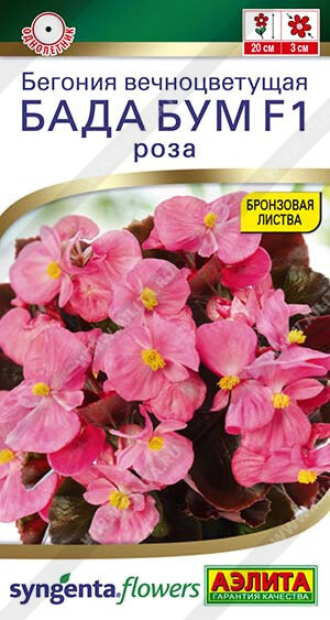 Бегония Бада бум F1 роза