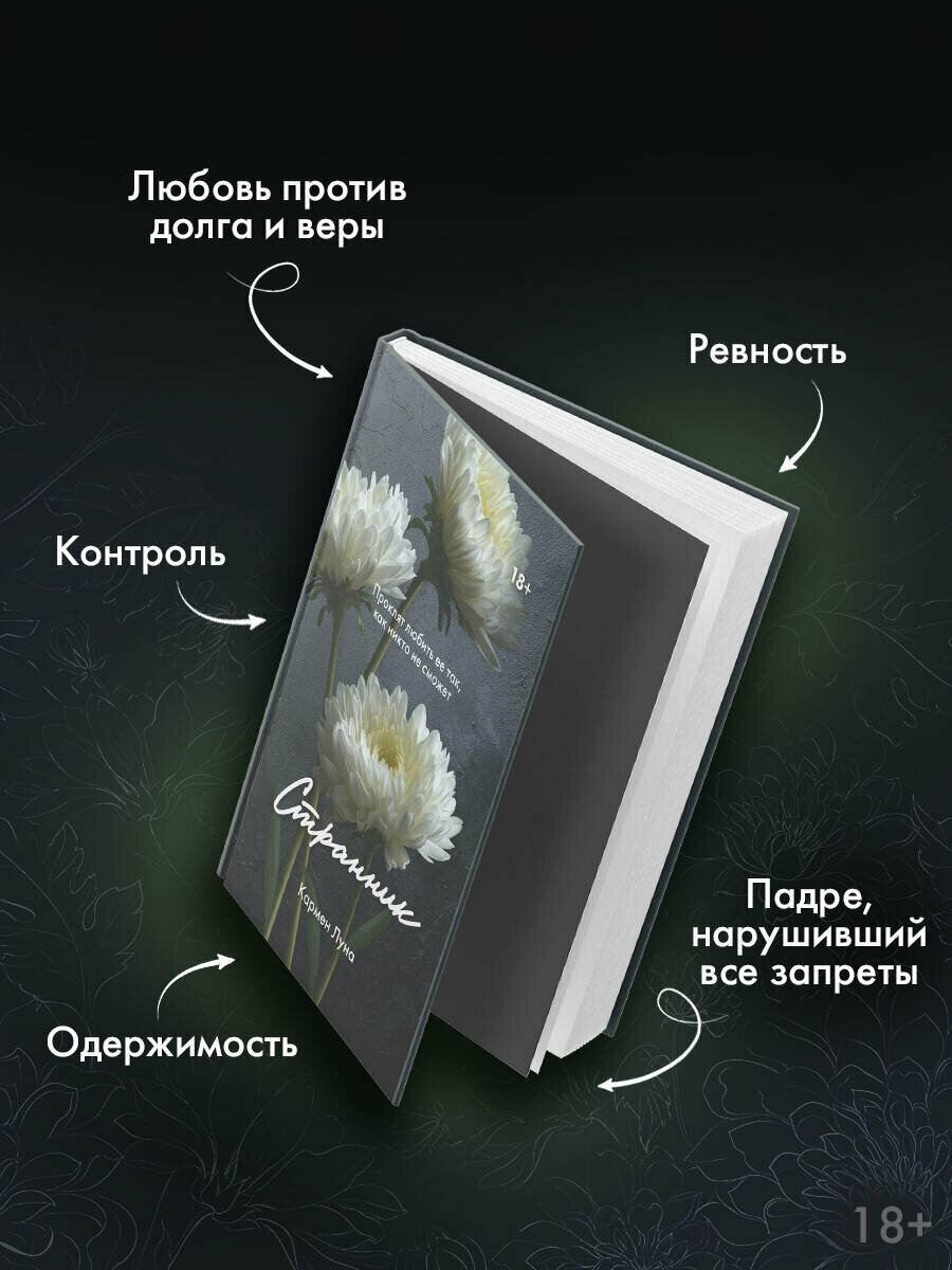 Странник Кармен Луна книга от издательства АСТ LAV. Темный роман на русском — фото 1