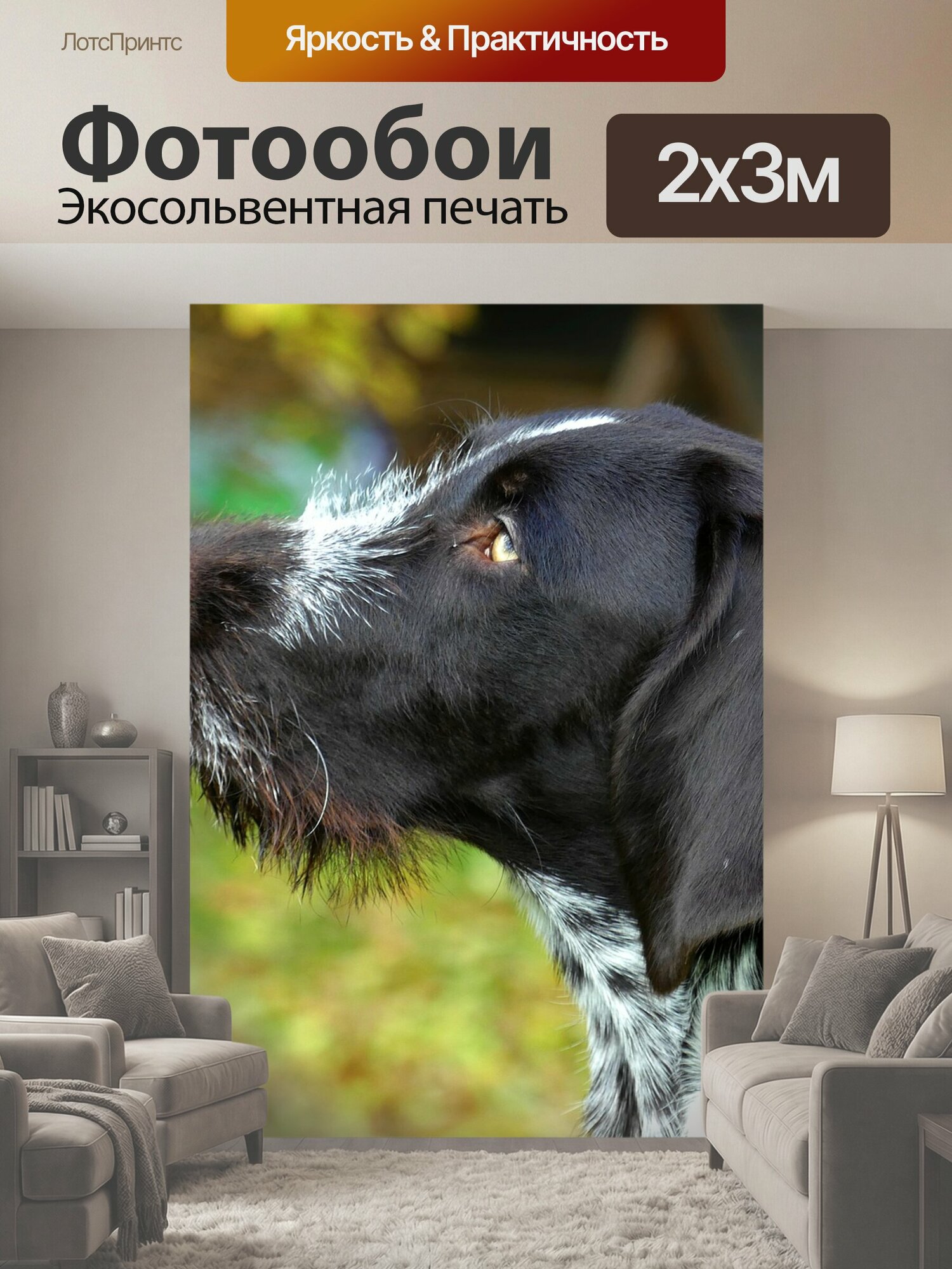 Фотообои "Собака, животное, охотничья собака" 200x300 см. экосольвентная печать