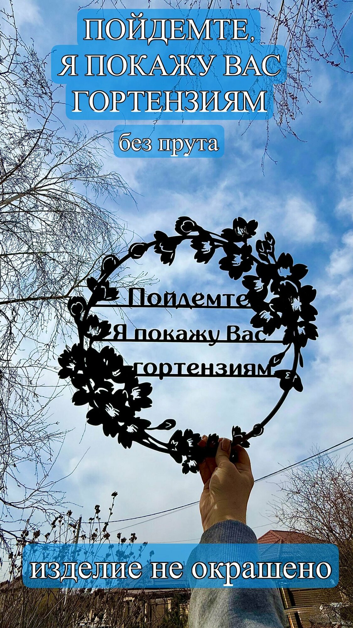 Круг "Пойдемте я покажу Вас гортензиям"