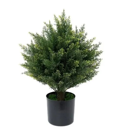 Искусственные цветы Туя искусственная темная, высота 60 см, 1 шт, хвойное растение