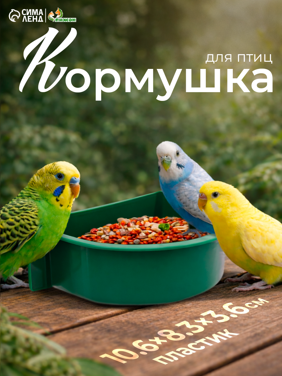 Кормушка для птиц Пижон, из пластика, удобная, 10,6x8,3x3,6см