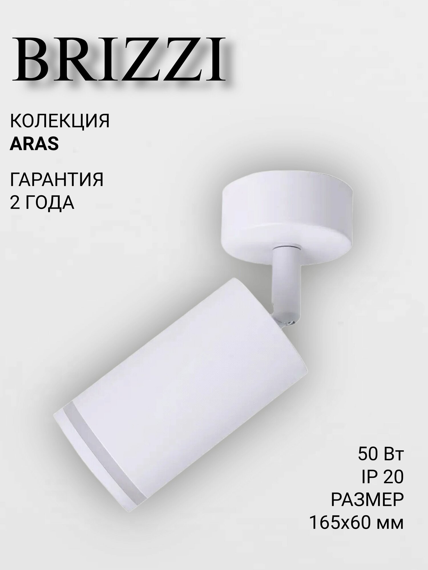 Потолочный светильник-спот BRIZZI ARAS BR08077