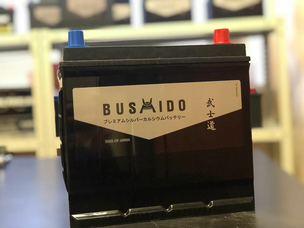 Аккумулятор автомобильный BUSHIDO SJ 65Ач R+ EN 640A 230x172x22 B01
