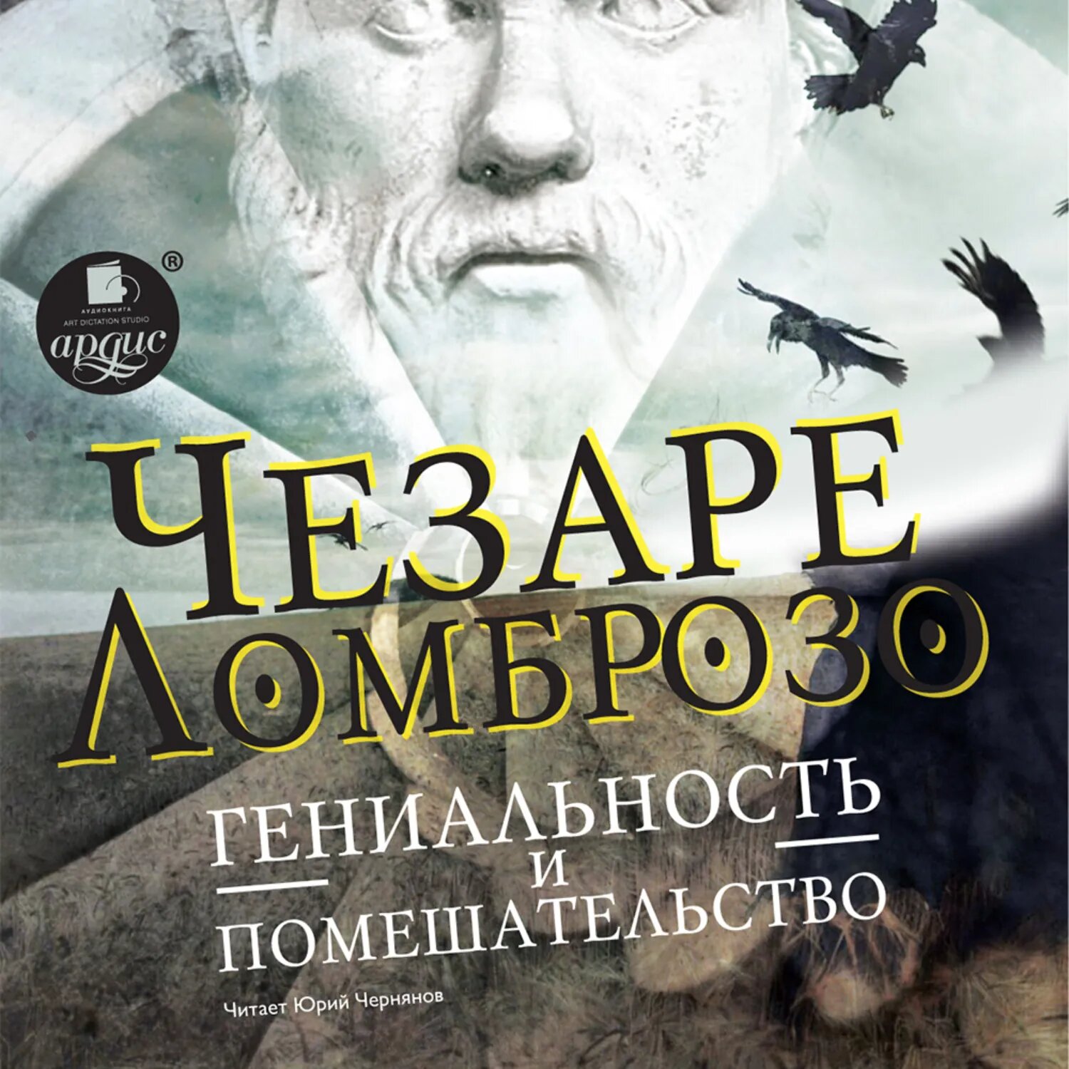 Гениальность и помешательство [Аудиокнига]