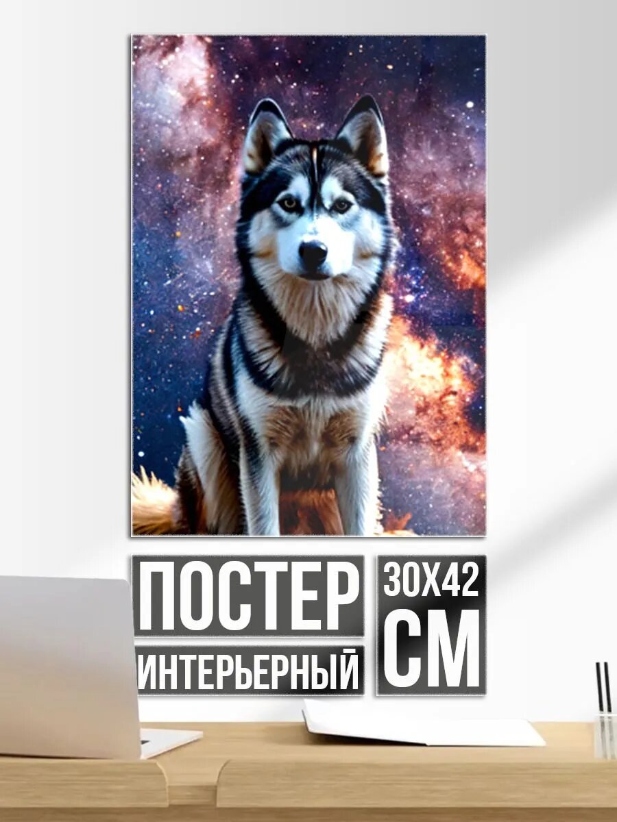 Постер на стену Лайка и космос