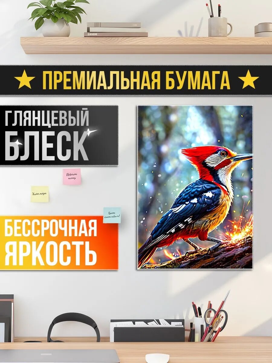 Постер на стену Дятел — фото 1