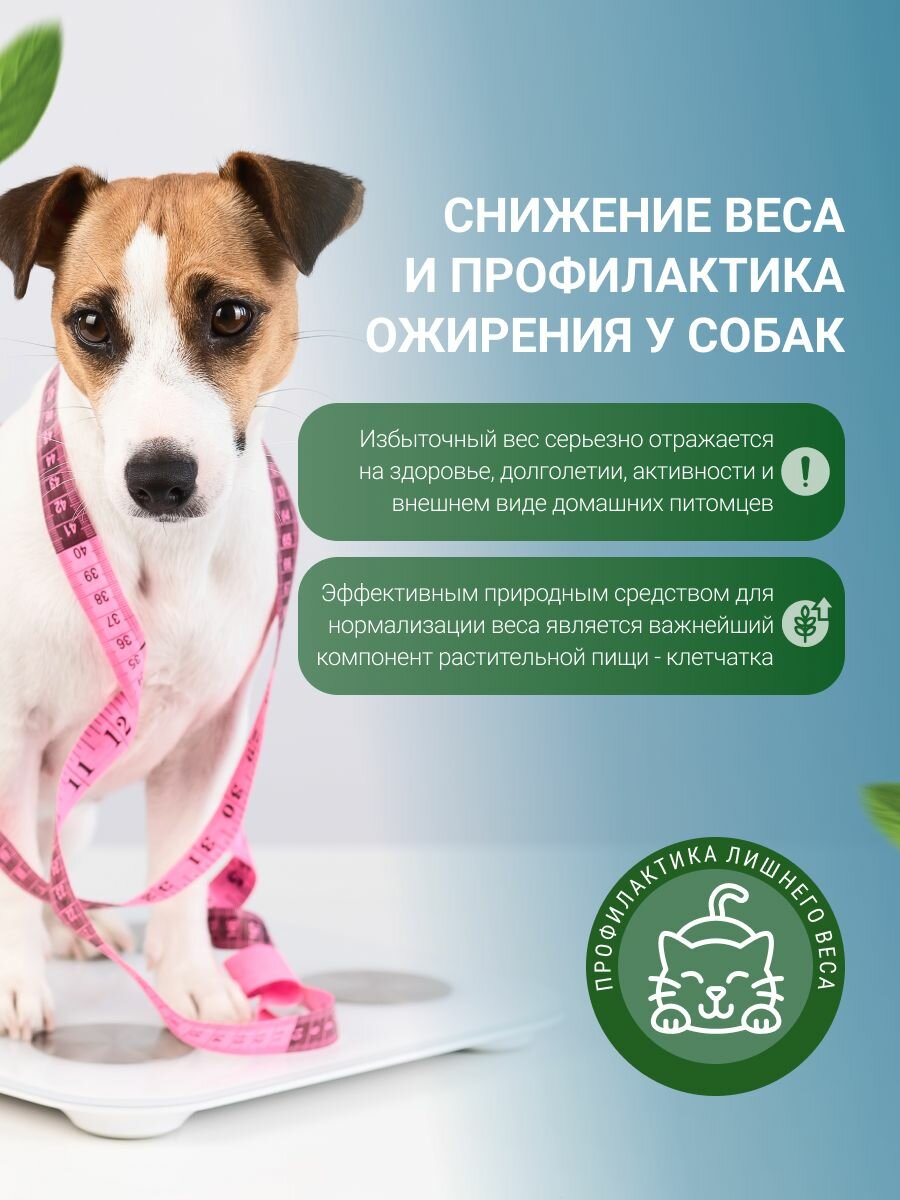 Клетчатка для собак Кора 150 гр. — фото 1