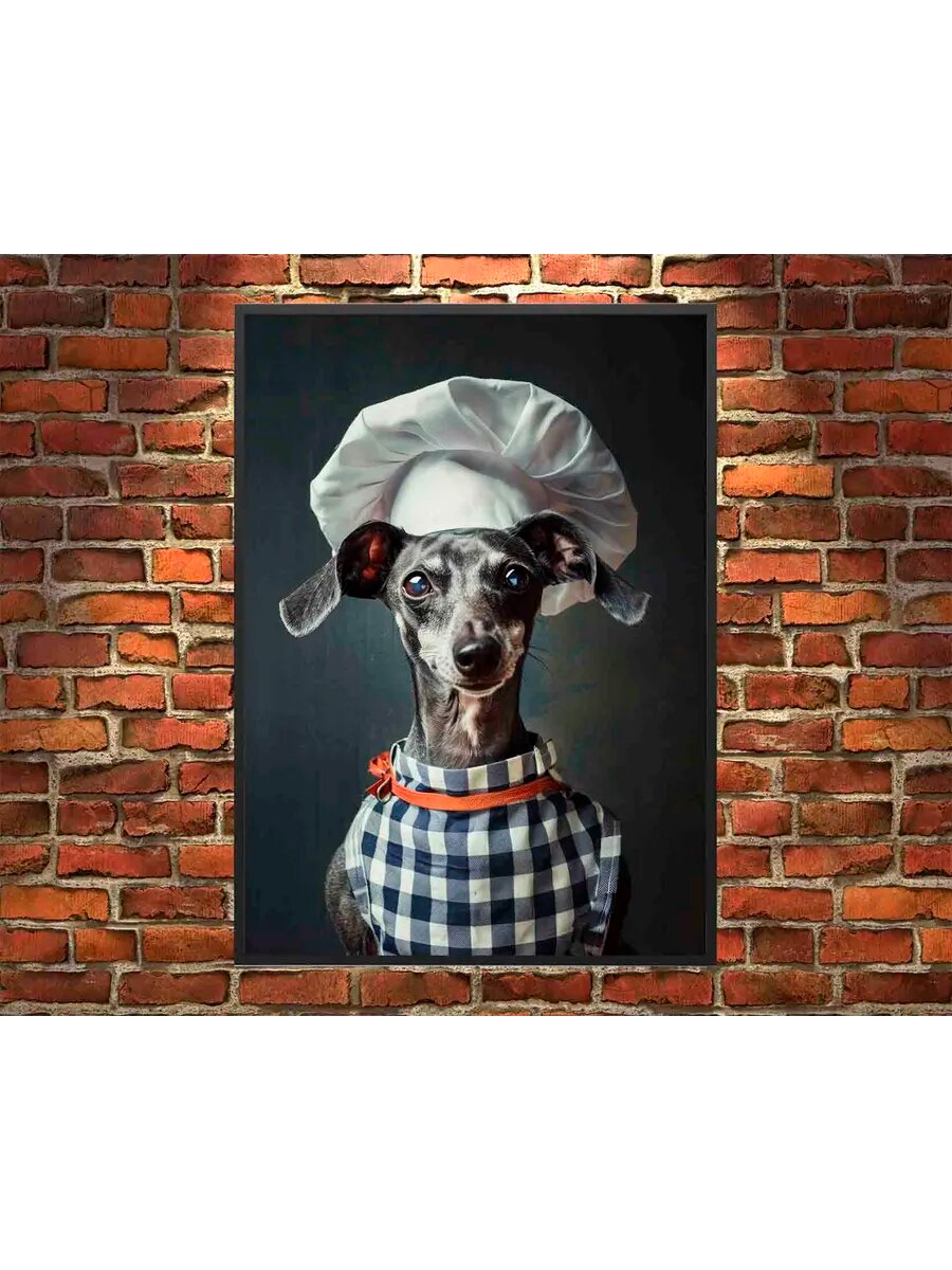 Повар итальянской борзой собаки 2, Плакат 30x42см