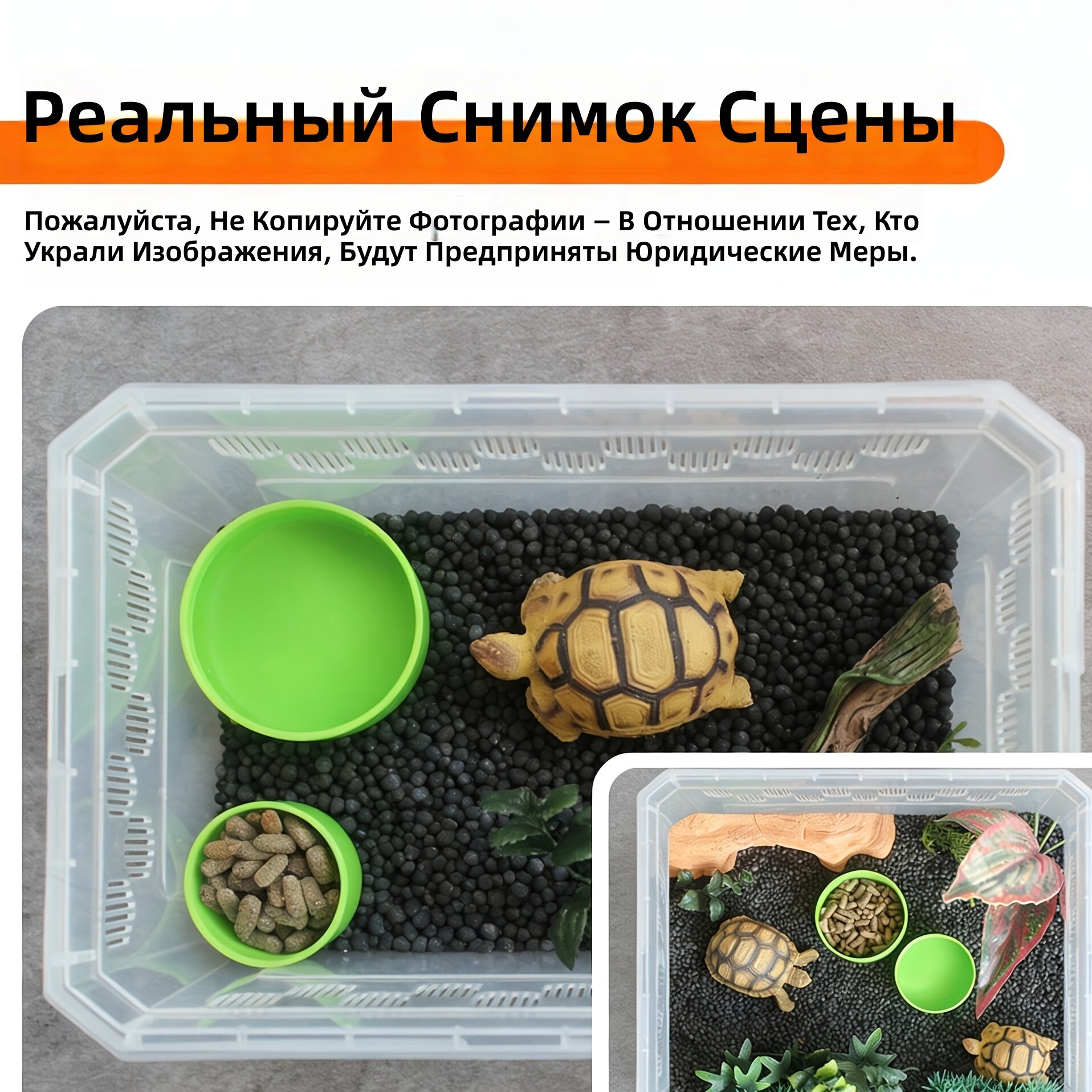 Миска для кормления и воды для рептилий, ящериц, змей, пауков и скорпионов, зеленая, компактная, принт тропического леса