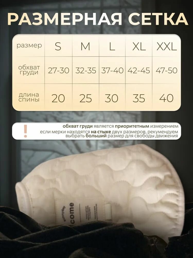 Одежда для животных — фото 1