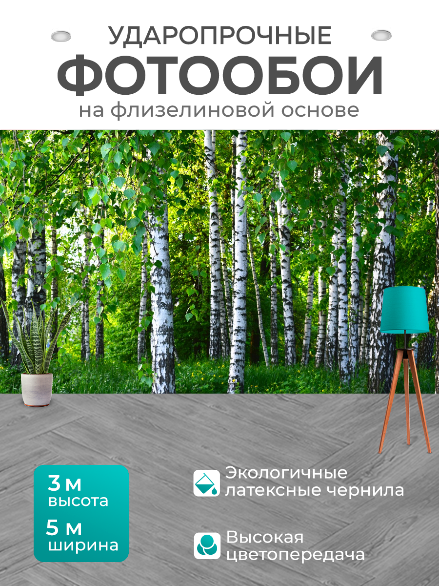 Фотообои моющиеся ударопрочные "Березы, роща, лес" 500x300 см. флизелиновые на стену
