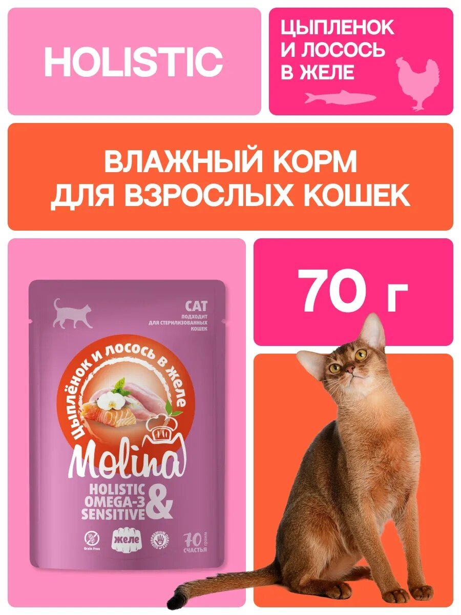 Влажный корм Molina для кошек любых пород, цыплёнок и лосось в желе 70гр