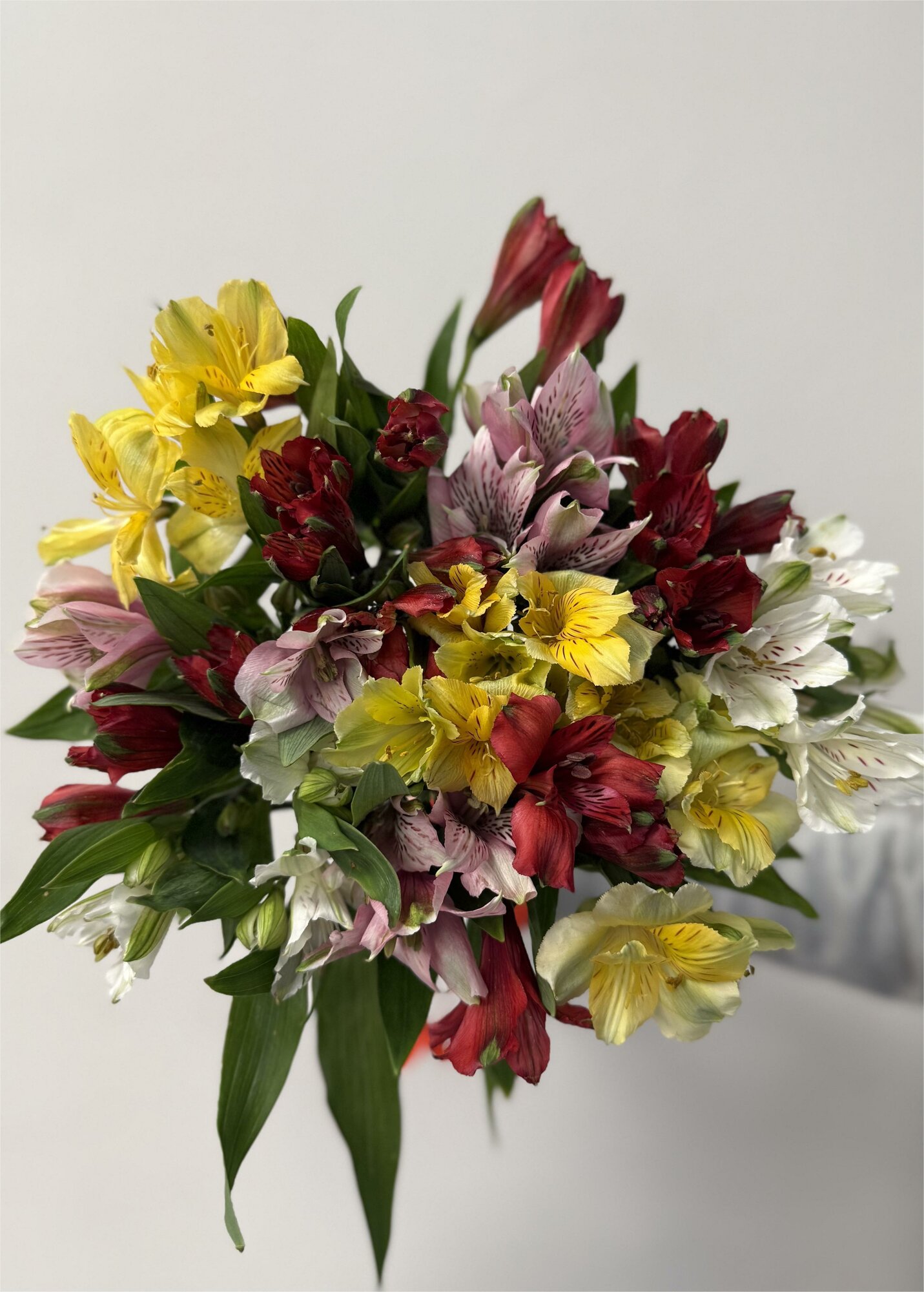 Букет из 13 альстромерий микс под ленту, монобукет, 50 см | Турбофлора