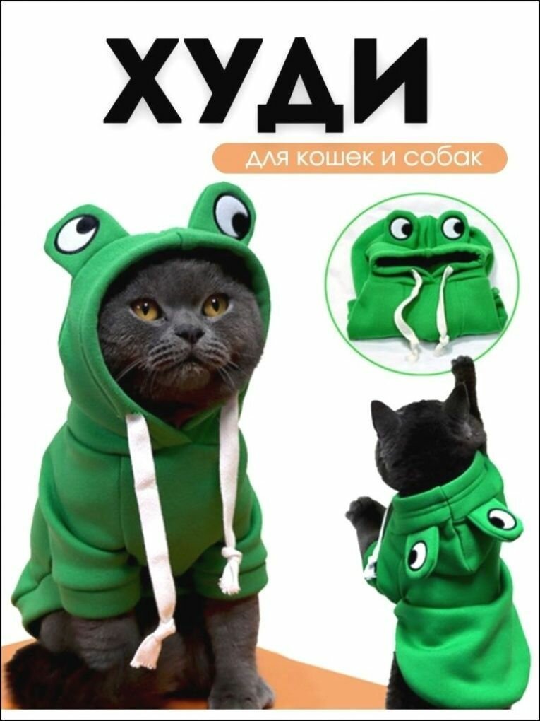 Толстовка худи для собак и кошек лягушка