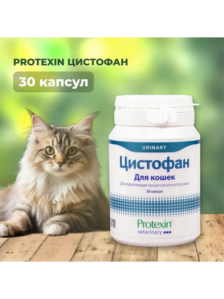 Цистофан Protexin 30 капсул