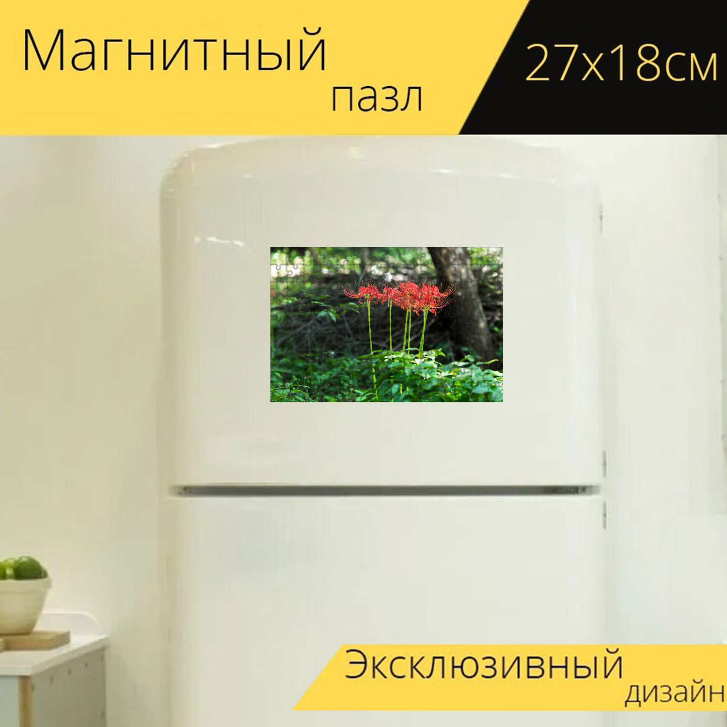 Магнитный пазл "Красная лилия паука, корея, инчхон" на холодильник 27 x 18 см.