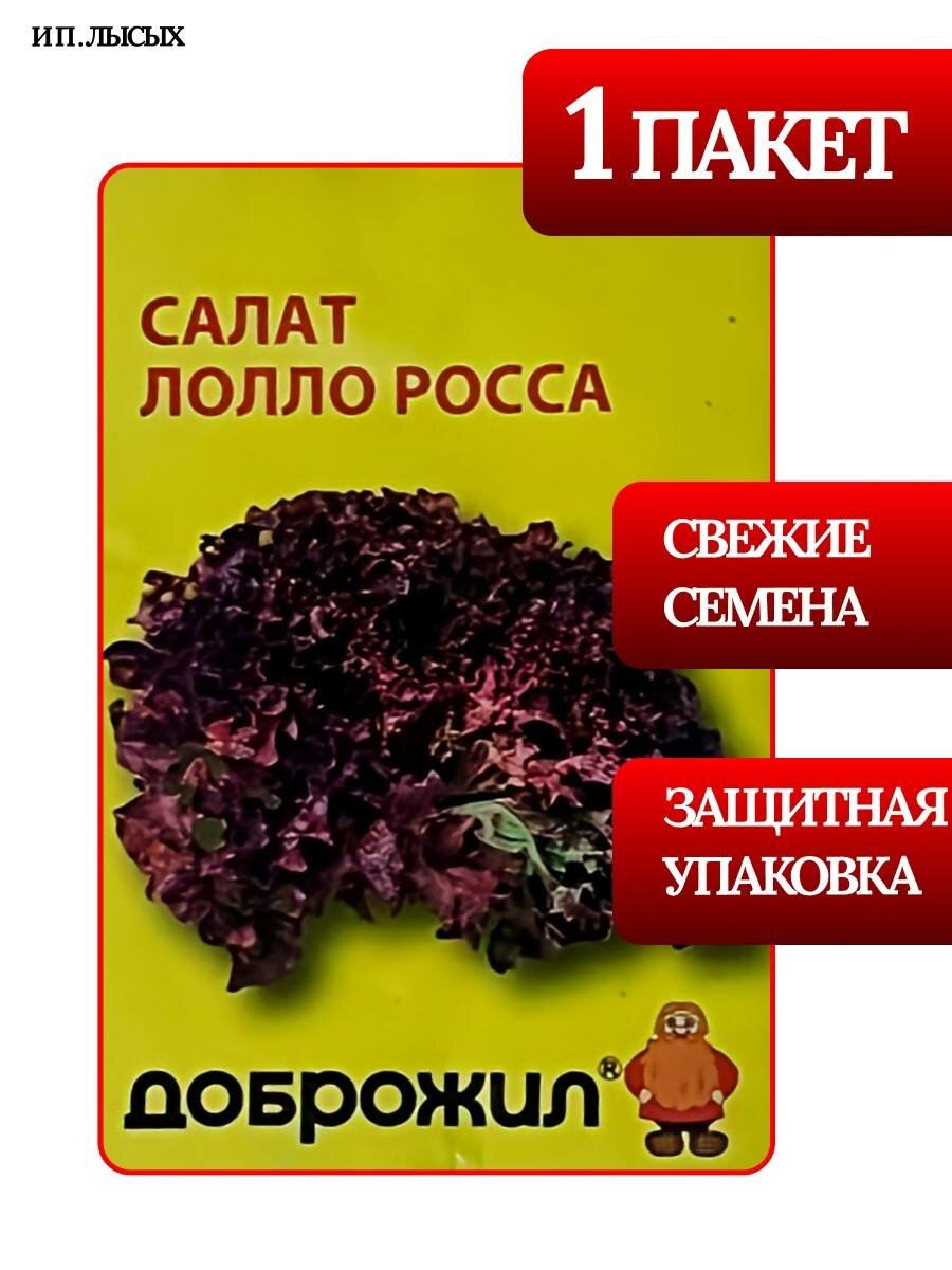 Семена Салат "Лолла Росса"
