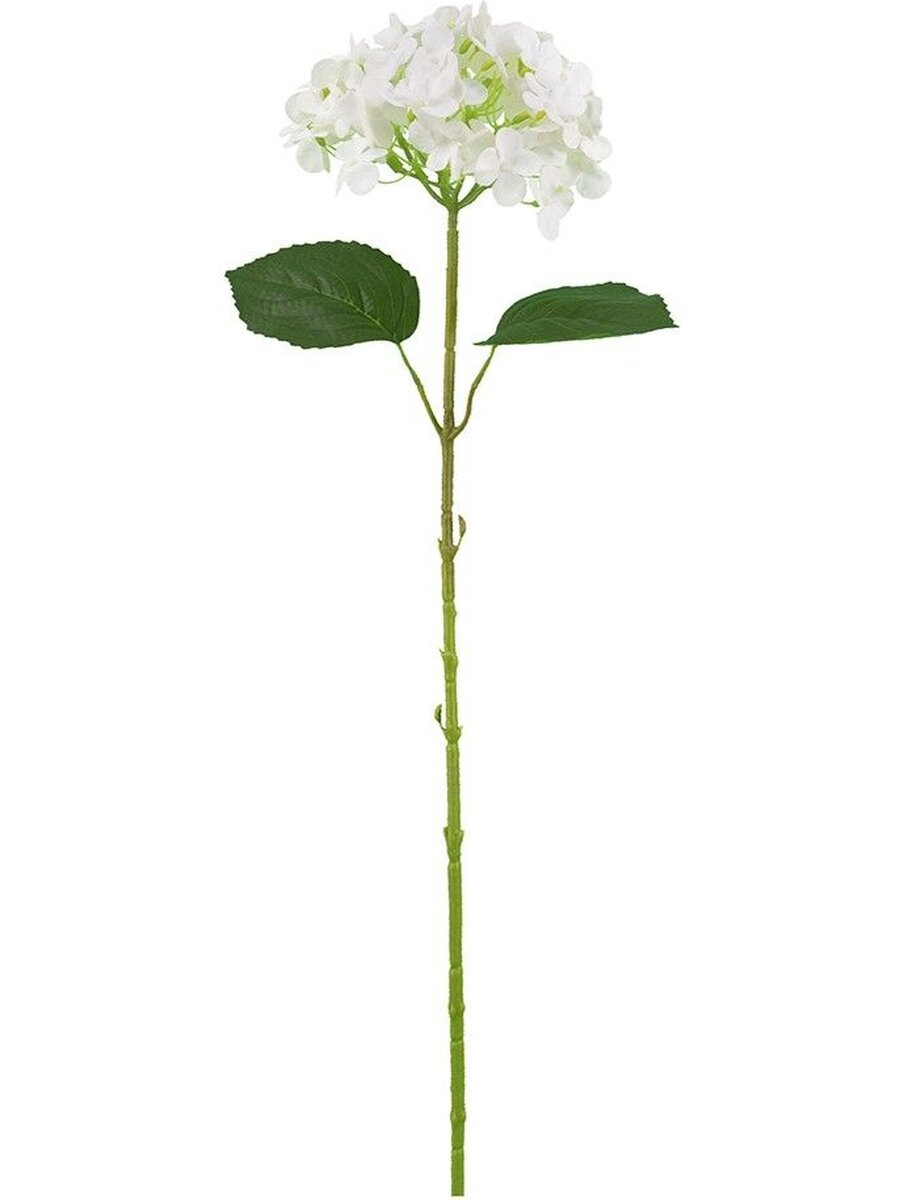 A0015-IVOR Растение декоративное Гортензия 18х18х64см, Glasar