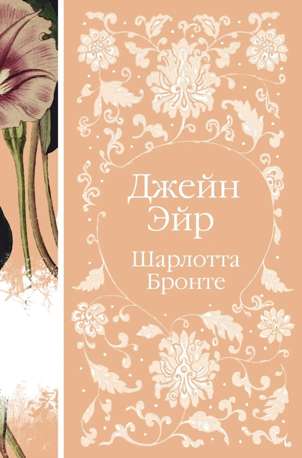 Джейн Эйр [Цифровая книга]