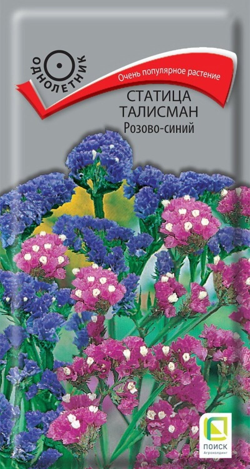 Семена цветов Поиск статица Талисман розово-синий, для дачи, сада, огорода и на рассаду