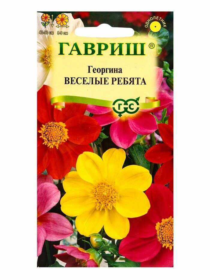 Набор семян Георгина воротничковая Тип Топ , 0.5 г